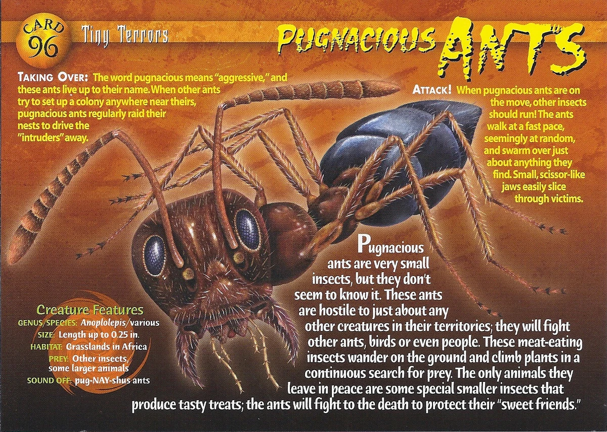 Pugnacious Ants | Weird n' Wild Creatures Wiki | Fandom