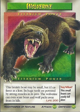 Wolverine | Weird n' Wild Creatures Wiki | Fandom