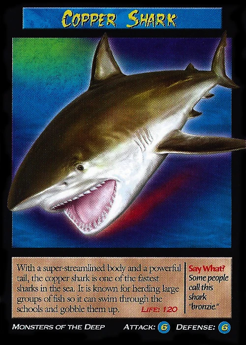 Copper Shark | Weird n' Wild Creatures Wiki | Fandom