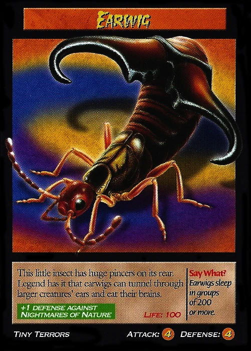 Earwig | Weird n' Wild Creatures Wiki | Fandom