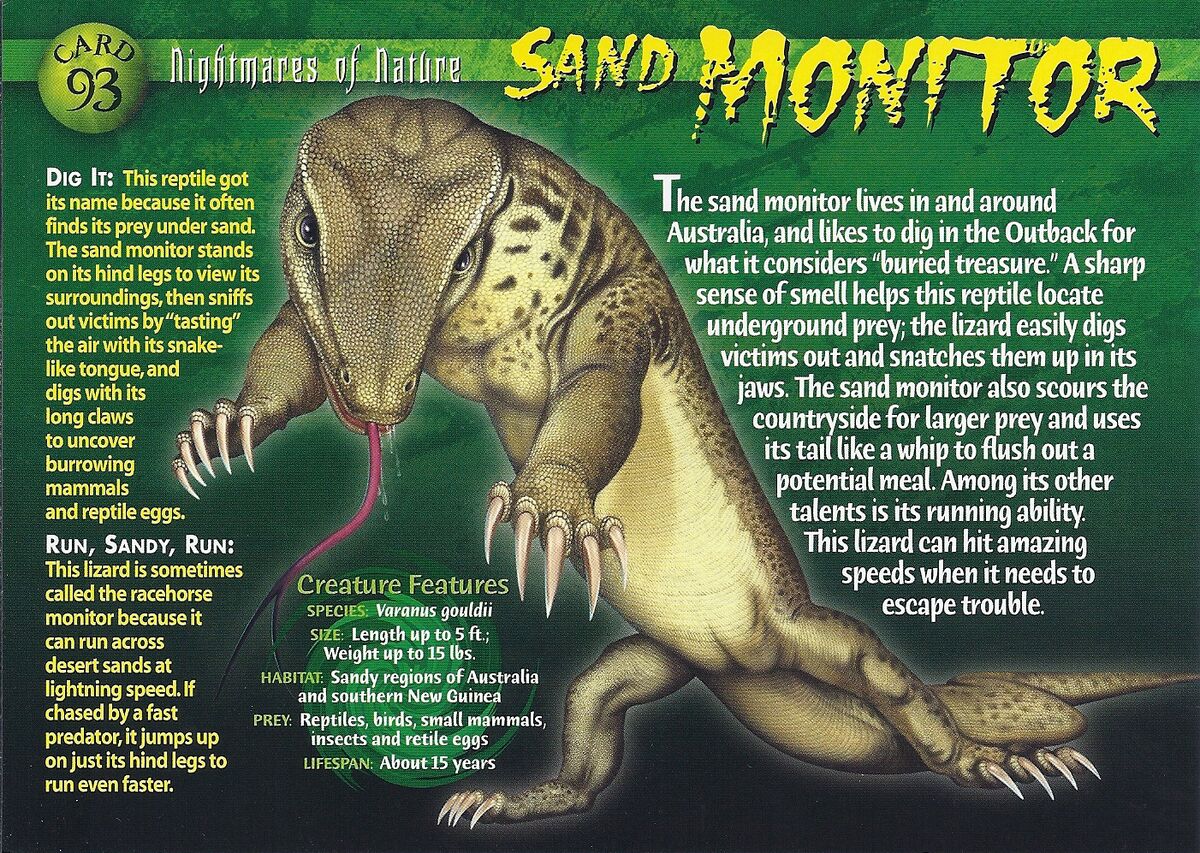 Sand Monitor | Weird n' Wild Creatures Wiki | Fandom Sand Monitor | Weird n' Wild Creatures Wiki | Fandom