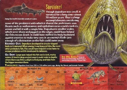 Dapedium | Weird n' Wild Creatures Wiki | Fandom