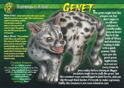 Genet | Weird n' Wild Creatures Wiki | Fandom