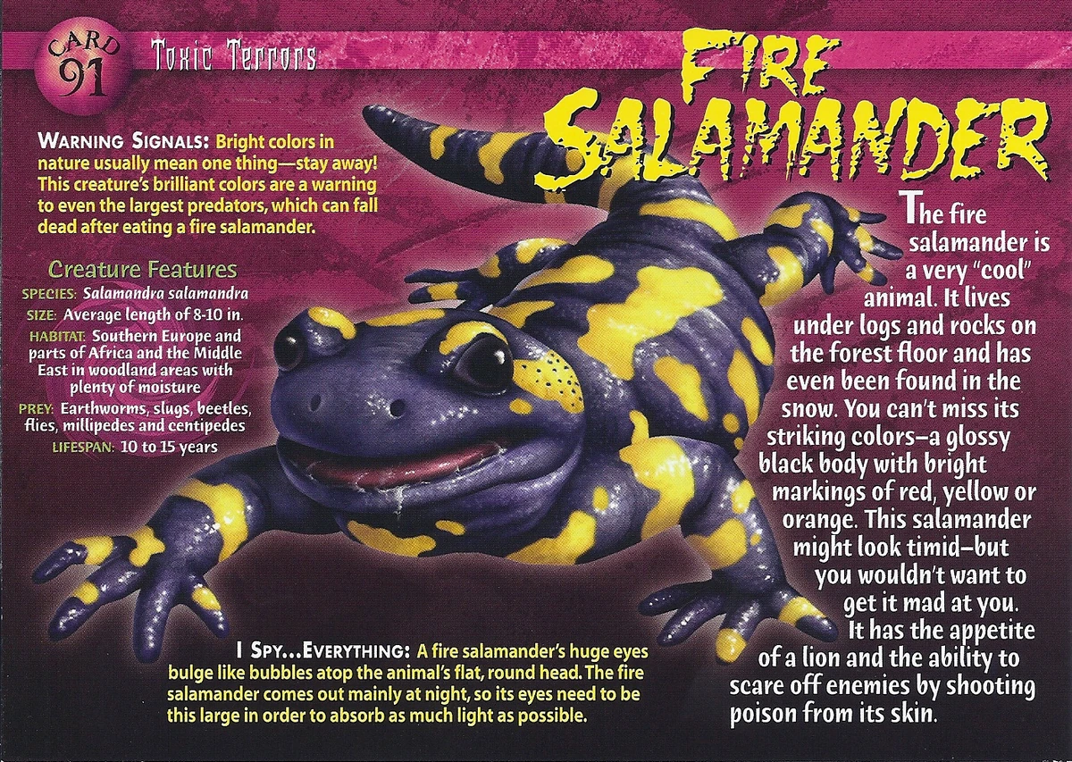 Fire Salamander | Weird n' Wild Creatures Wiki | Fandom