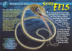 Snipe Eel | Weird n' Wild Creatures Wiki | Fandom