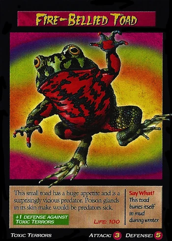 Fire-Bellied Toad | Weird n' Wild Creatures Wiki | Fandom