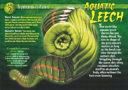 Aquatic Leech | Weird n' Wild Creatures Wiki | Fandom
