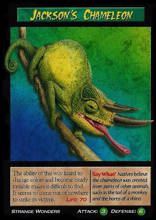 Jackson's Chameleon | Weird n' Wild Creatures Wiki | Fandom