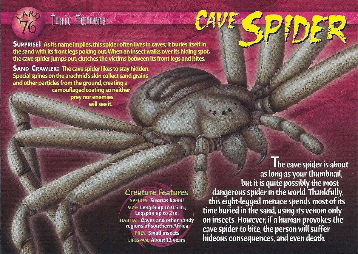 Cave Spider | Weird n' Wild Creatures Wiki | Fandom