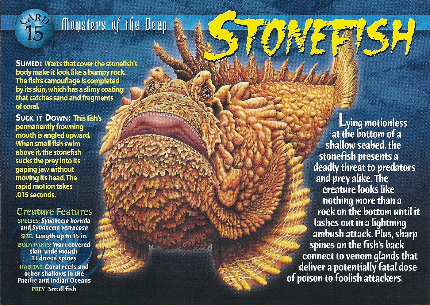 Stonefish