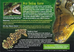 Reticulated Python | Weird n' Wild Creatures Wiki | Fandom