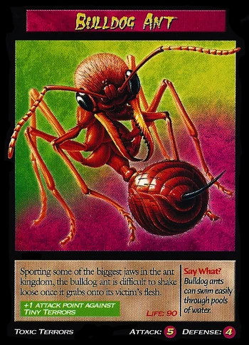 Bulldog Ant | Weird n' Wild Creatures Wiki | Fandom