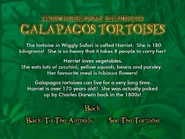 Family Fun Pack: Volume 3 | Wigglepedia | Fandom