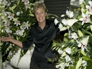 Marie Field/Gallery | Wigglepedia | Fandom