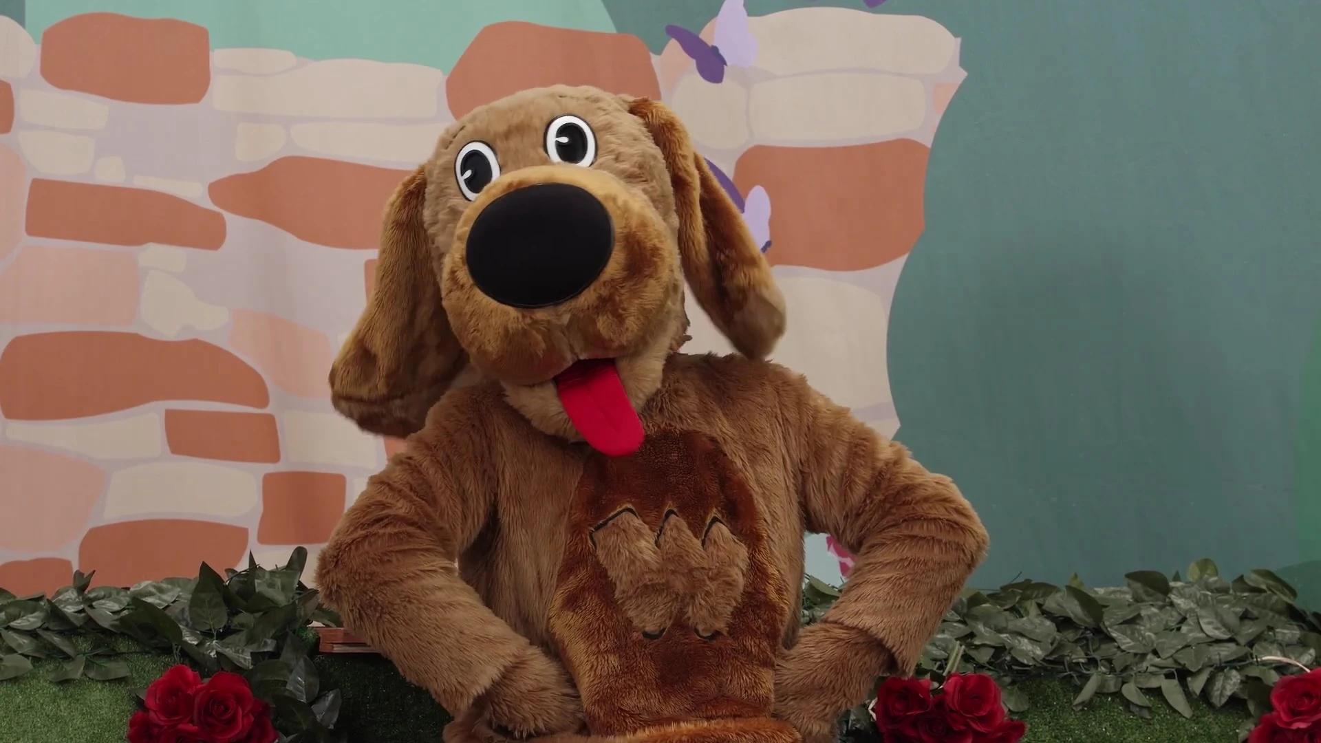 Discuss Everything About Wigglepedia | Fandom