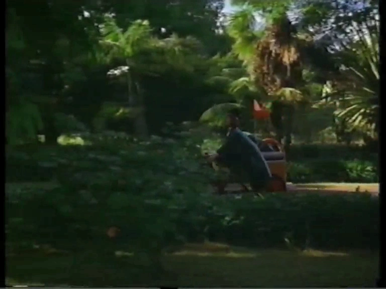 Hey There Wally | Wigglepedia | Fandom