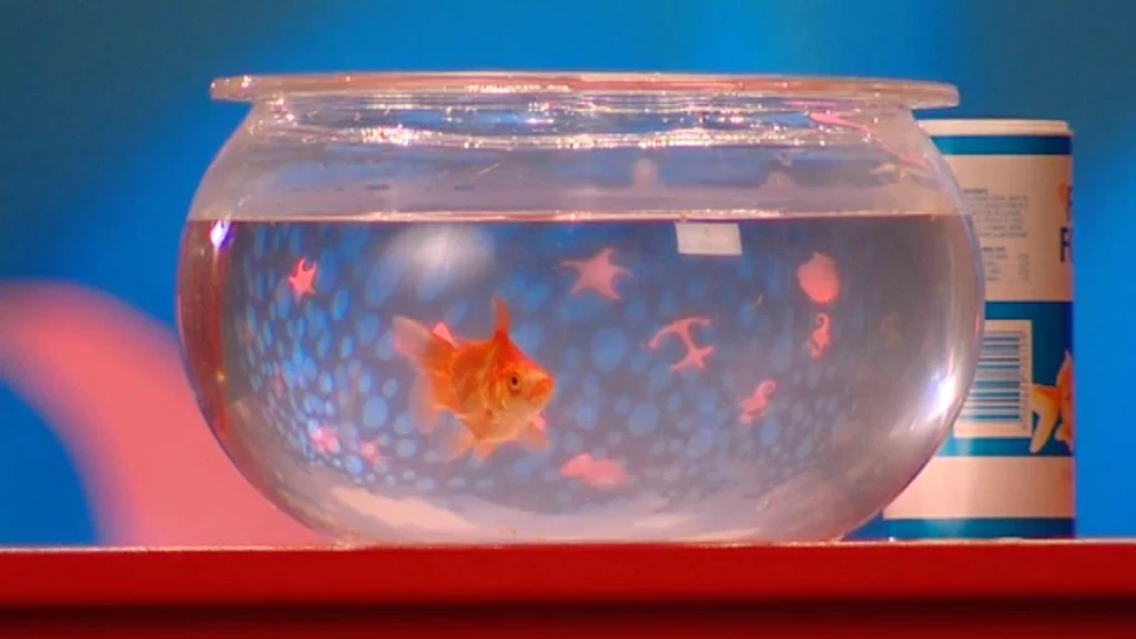 Sparkle | Wigglepedia | Fandom