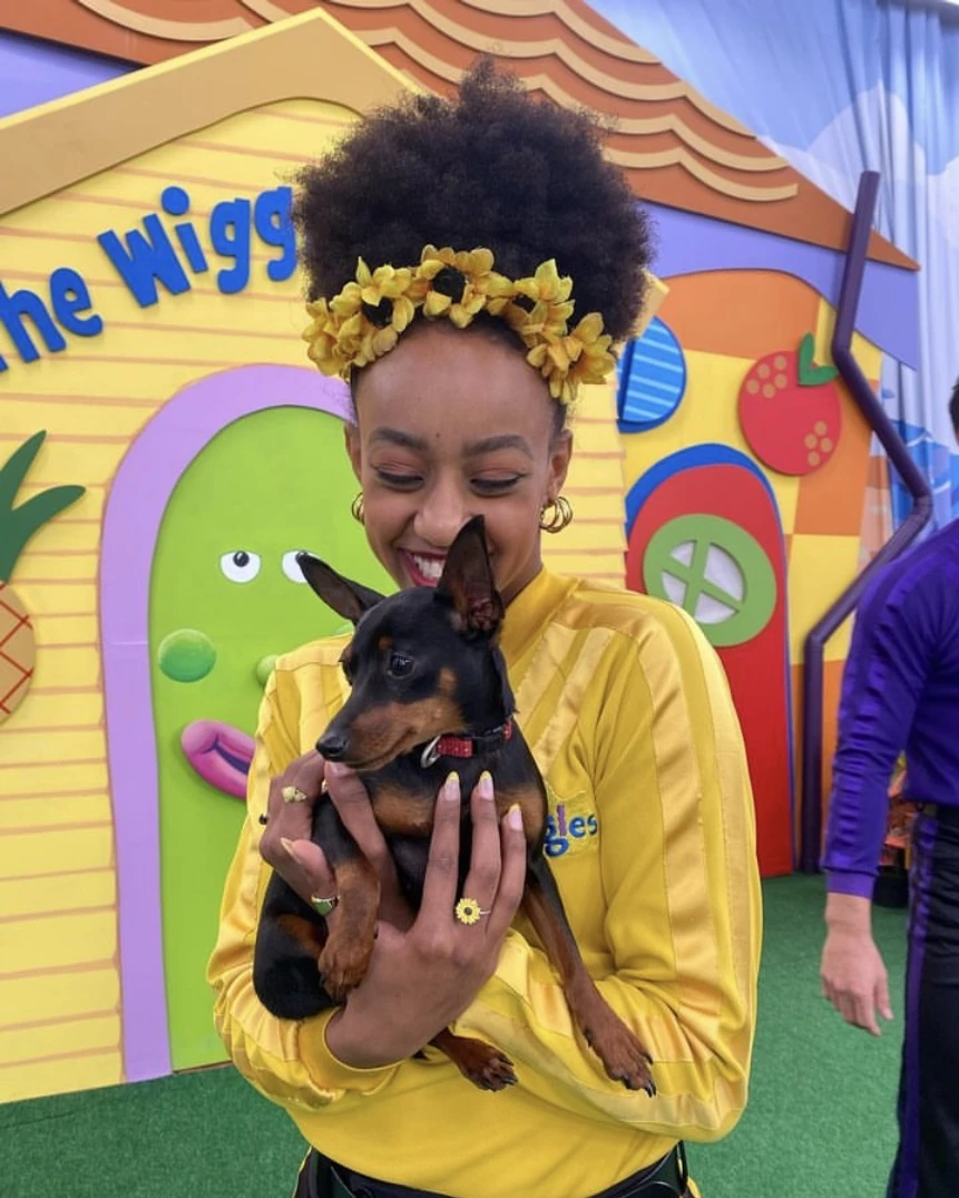 Ready, Steady, Wiggle! (TV Series 5 & 6)/Gallery | Wigglepedia | Fandom