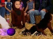 Fun on the Farm/Gallery | Wigglepedia | Fandom