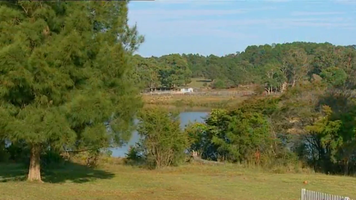 Farewell To The Wiggly Trail/Gallery | Wigglepedia | Fandom