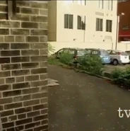 Dancing Ride/Gallery | Wigglepedia | Fandom