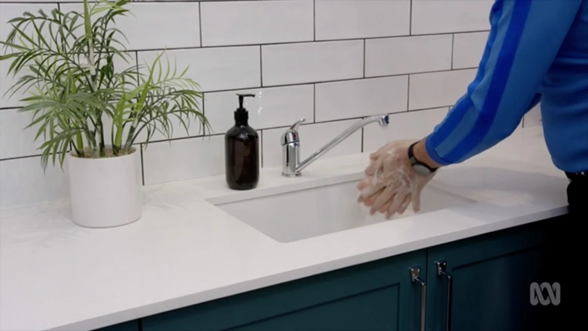 Wash Your Hands | Wigglepedia | Fandom