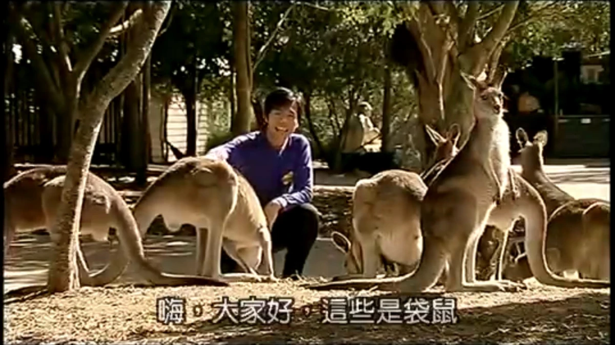 12 Animal Segments with Danny | Wigglepedia | Fandom