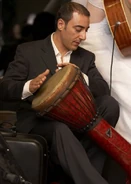 Steve Pace | Wigglepedia | Fandom