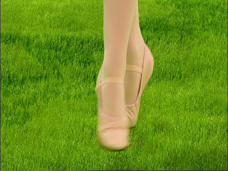 Category:Dancing shoes | Wigglepedia | Fandom