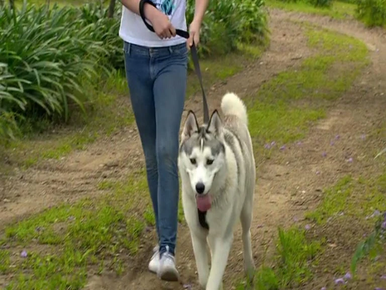 Mya Alexander | Wigglepedia | Fandom