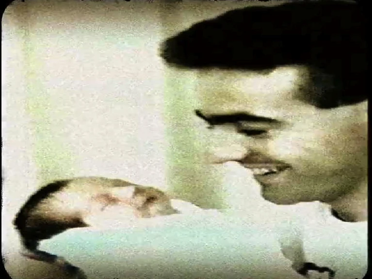 Clare Field/Gallery | Wigglepedia | Fandom