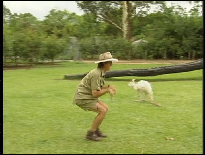 Learn More About the Animals | Wigglepedia | Fandom