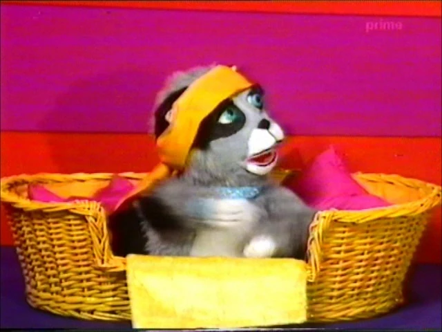 Kaz the Cat (character) | Wigglepedia | Fandom