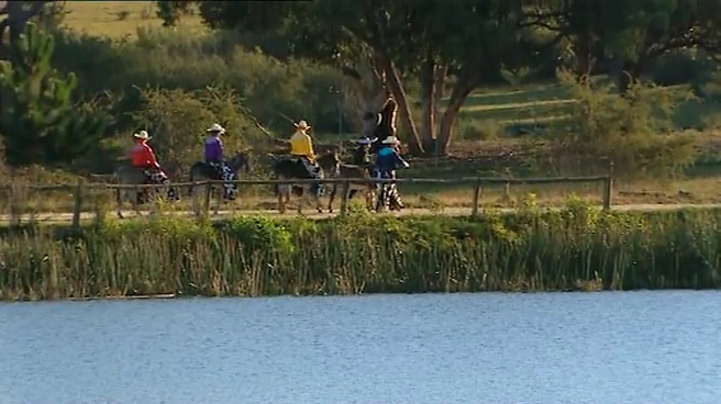 The Wiggly Trail (location) | Wigglepedia | Fandom