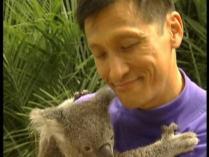 Koala La La | Wigglepedia | Fandom