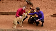 Come on Down to Wiggle Town (episode) | Wigglepedia | Fandom