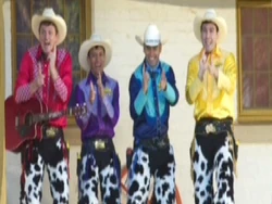 The Wiggles Cold Spaghetti Western Vhs