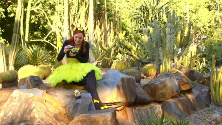 Sparkly Shoes | Wigglepedia | Fandom