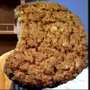 Discuss Everything About Wigglepedia | Fandom