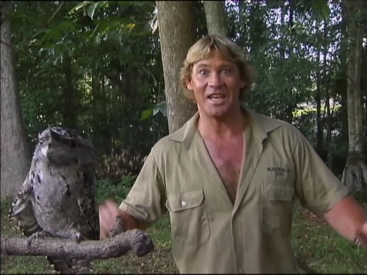 Do The Owl/Gallery | Wigglepedia | Fandom