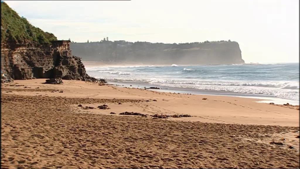 Wiggle Bay (song)/Gallery | Wiggles Fanon Wiki | Fandom