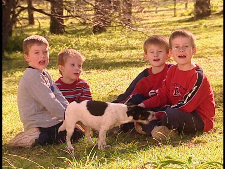 Simon Day | Wiggles Fanon Wiki | Fandom