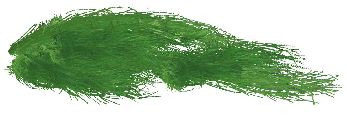 Waterweed/Seaweed | Wii Fishing Resort Wiki | Fandom