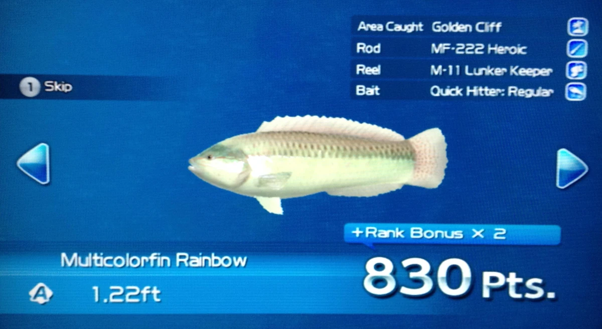 Multicolorfin Rainbow | Wii Fishing Resort Wiki | Fandom