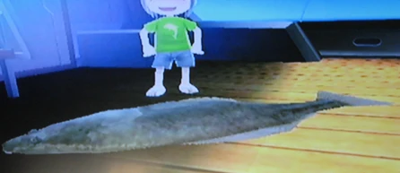 Halibut | Wii Fishing Resort Wiki | Fandom