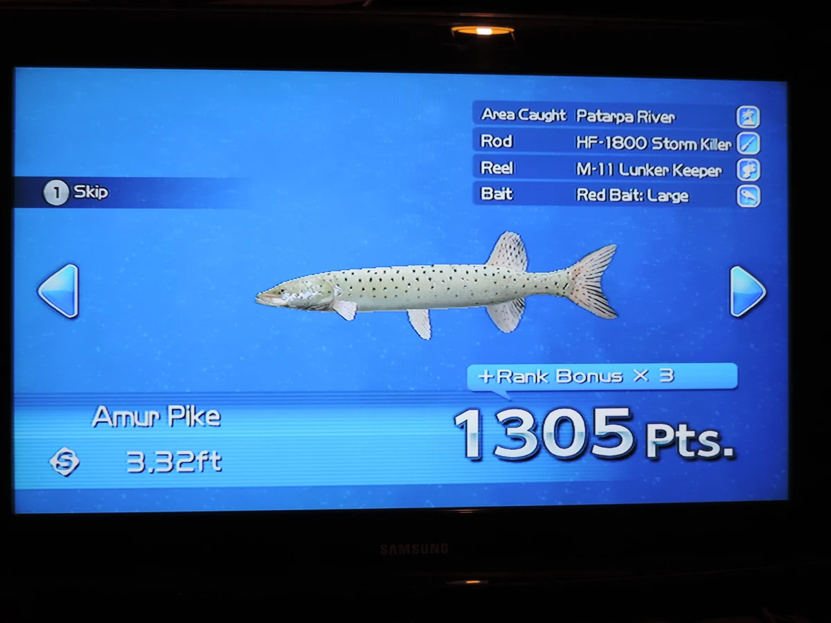 Amur Pike | Wii Fishing Resort Wiki | Fandom