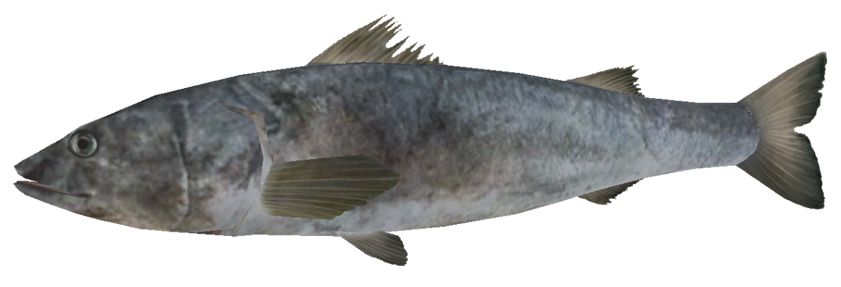 Black Cod | Wii Fishing Resort Wiki | Fandom