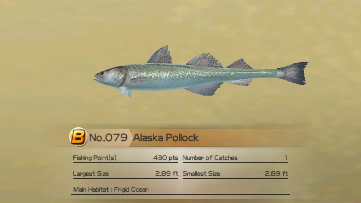Alaska Pollock | Wii Fishing Resort Wiki | Fandom