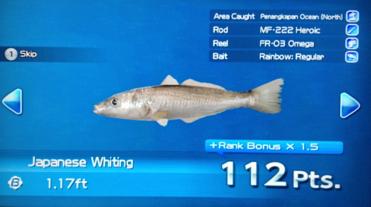 Japanese Whiting | Wii Fishing Resort Wiki | Fandom