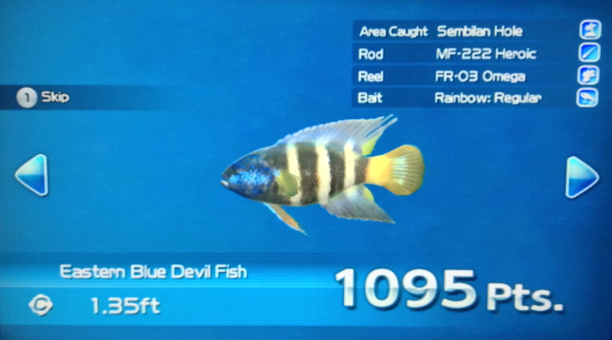 Eastern Blue Devil Fish | Wii Fishing Resort Wiki | Fandom